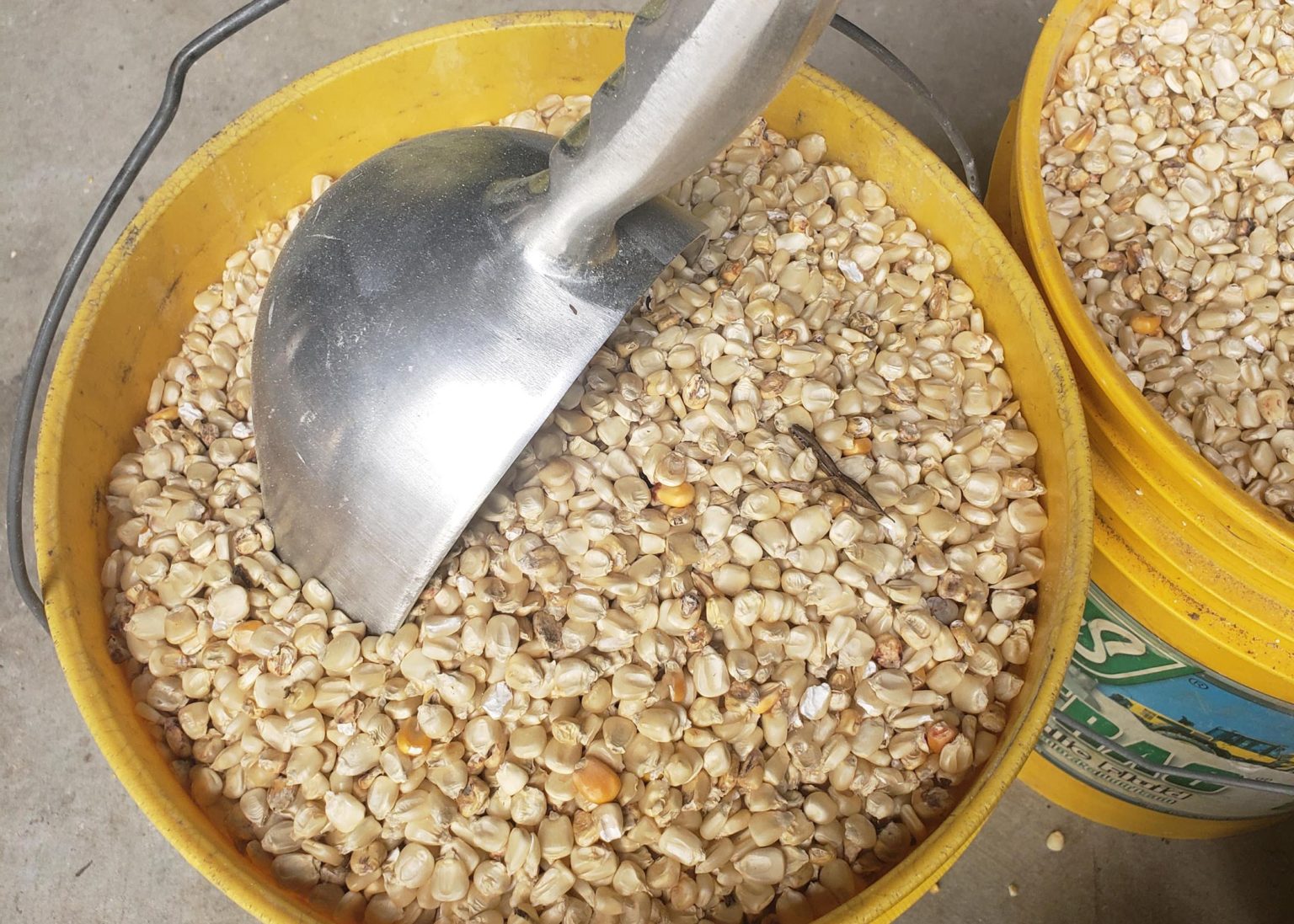 About – Backyard Distillery